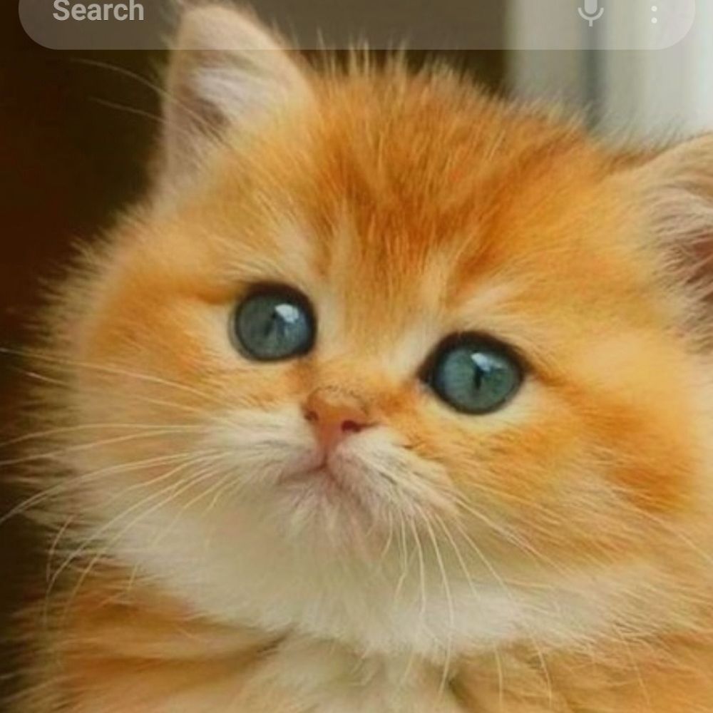 ‎Saurav_Kumar’s profile • Letterboxd