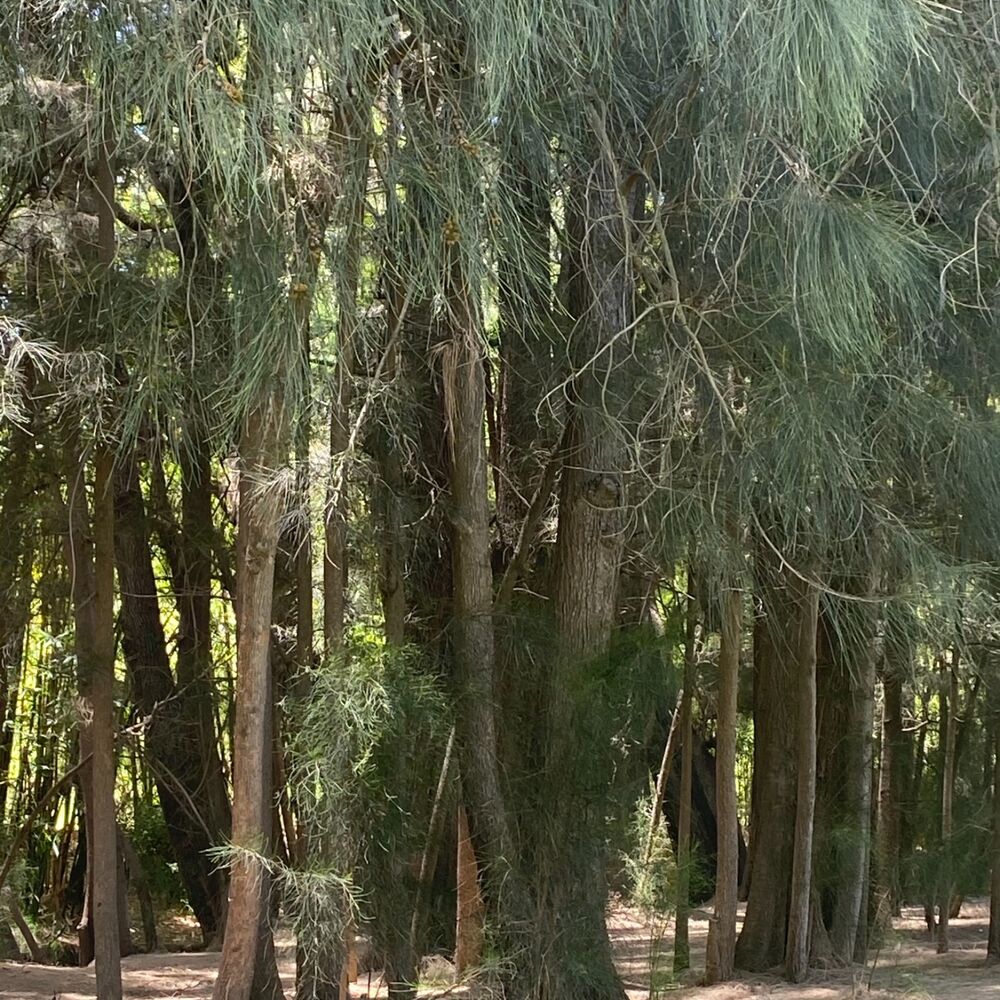 ‎tiahna!’s profile • Letterboxd