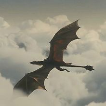 ‎Mathieu’s profile • Letterboxd