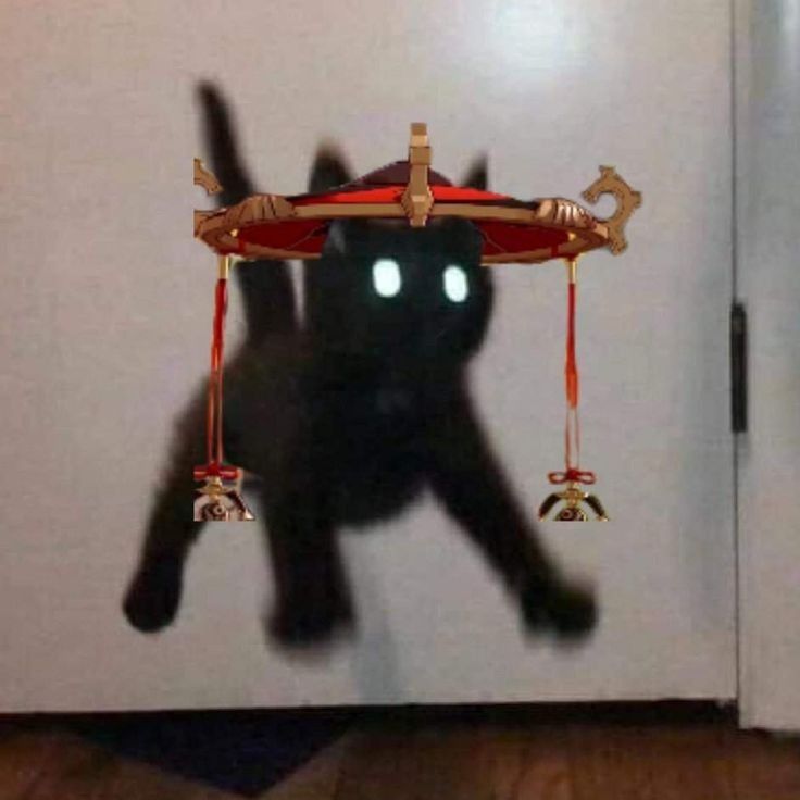 ‎bkkh’s profile • Letterboxd