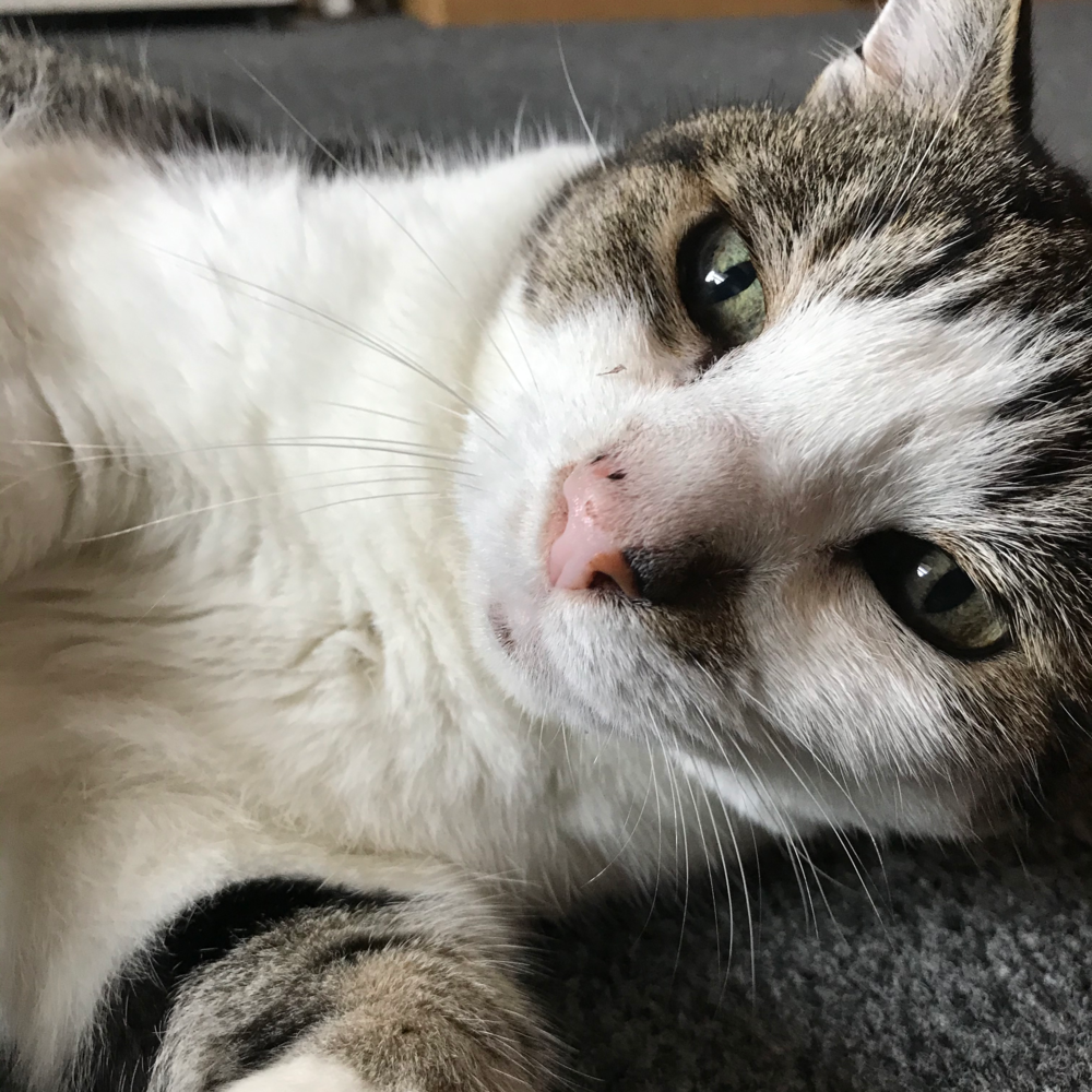 ‎Recidivist’s profile • Letterboxd