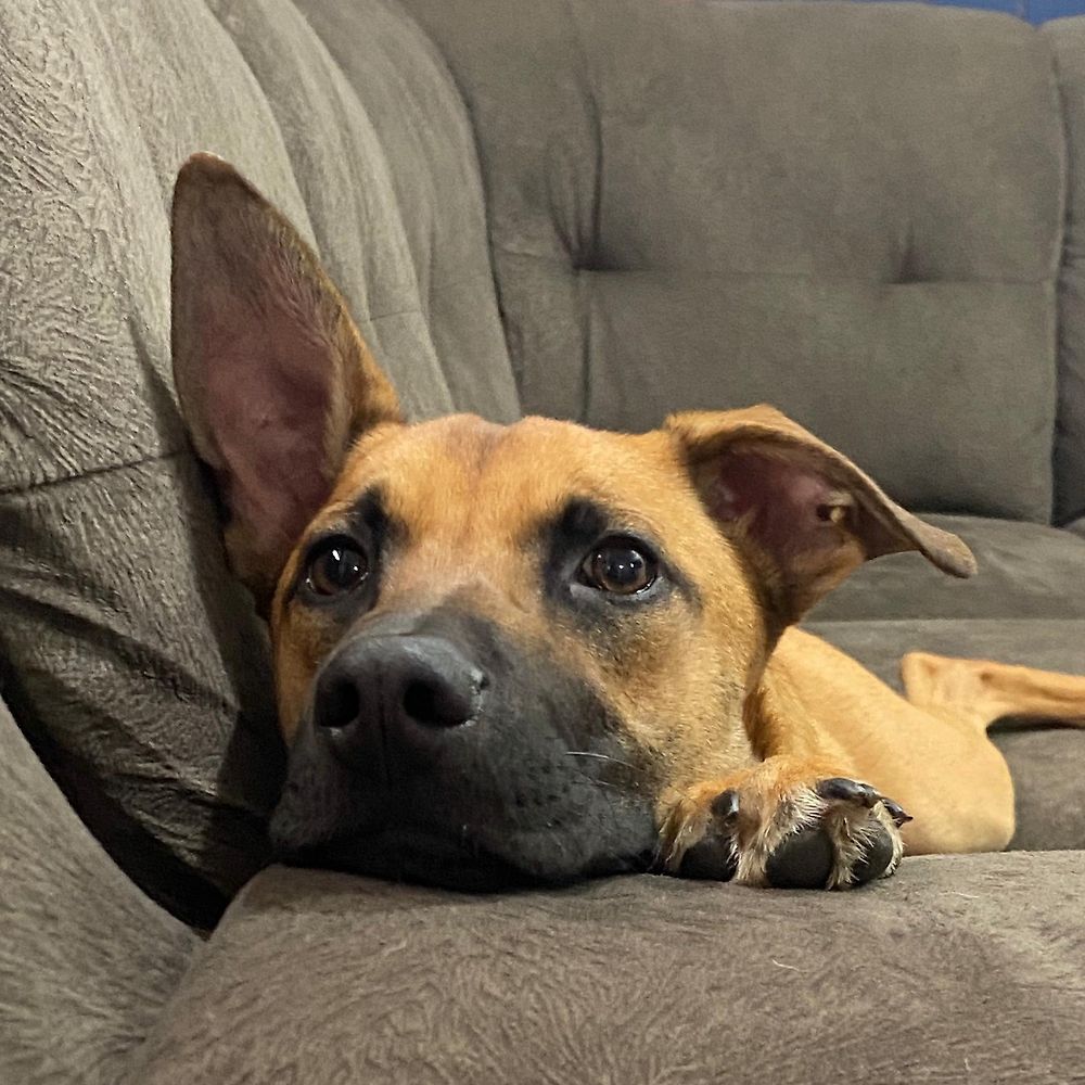 ‎Insanidad’s profile • Letterboxd