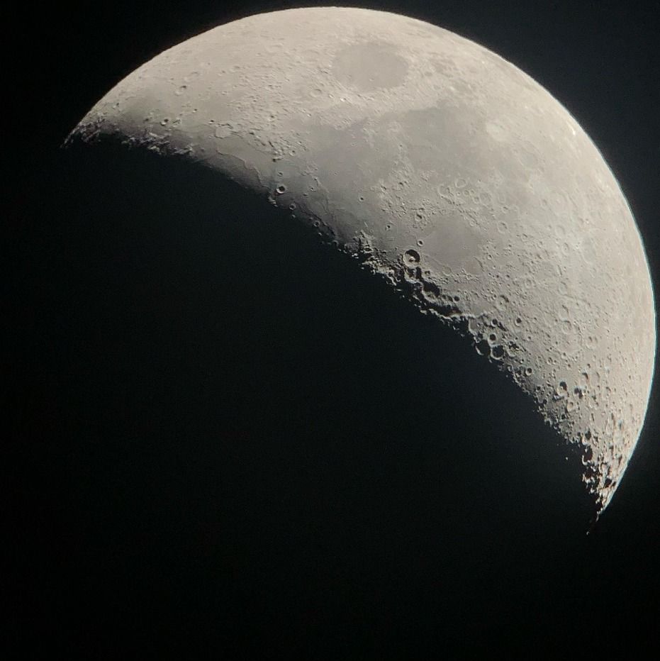 ‎Sofia’s profile • Letterboxd