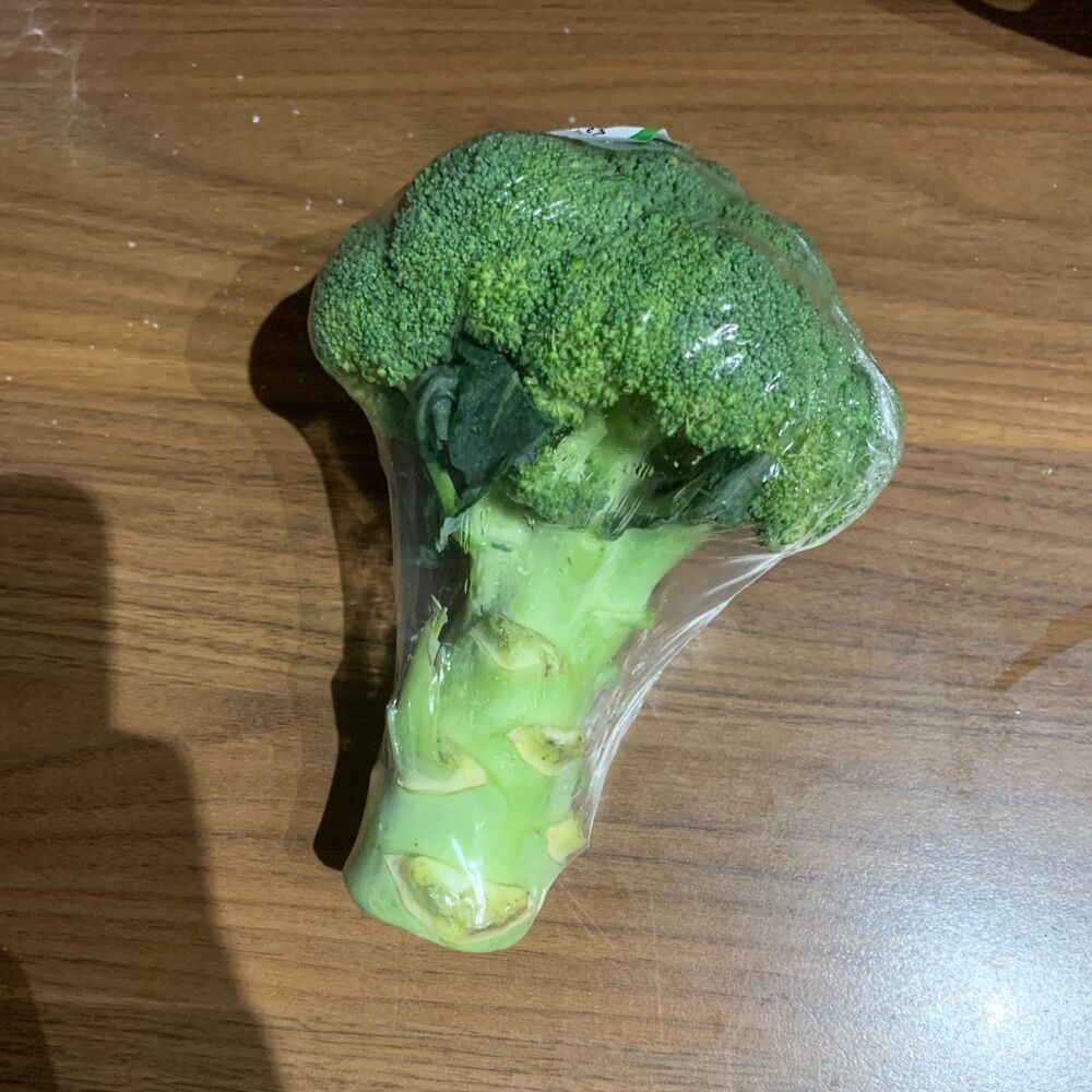 ‎Oliver Rose’s profile • Letterboxd