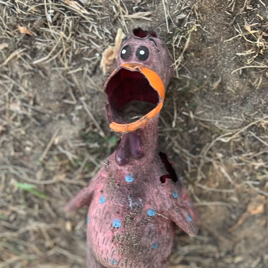 ‎lyd’s profile • Letterboxd