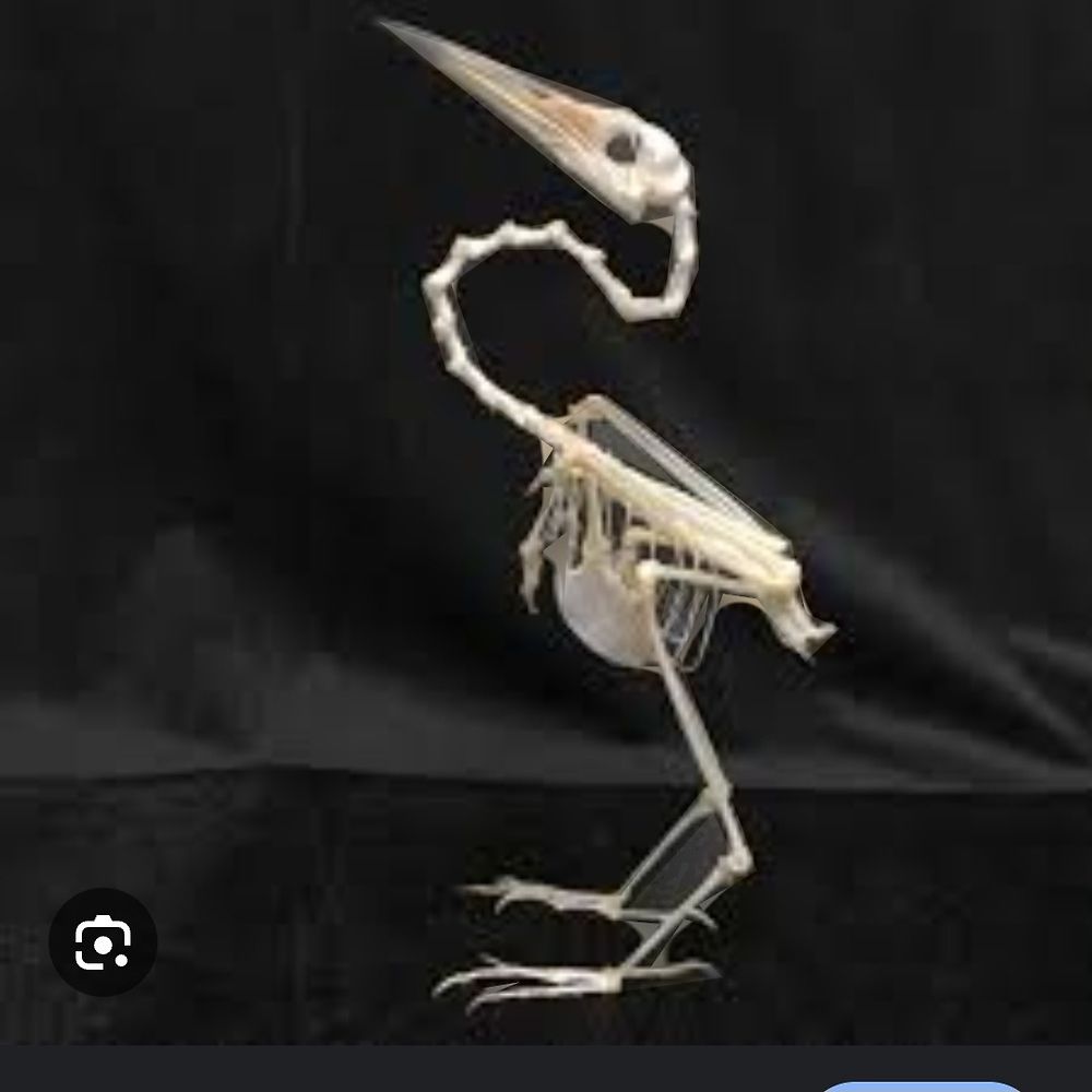 ‎Callum Stevens’s profile • Letterboxd