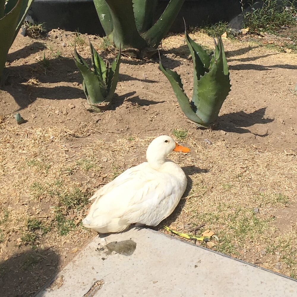 ‎Matt Loreti’s profile • Letterboxd