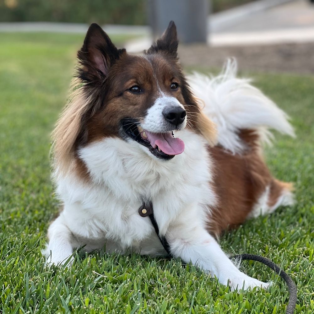 ‎Bret Hamilton’s profile • Letterboxd