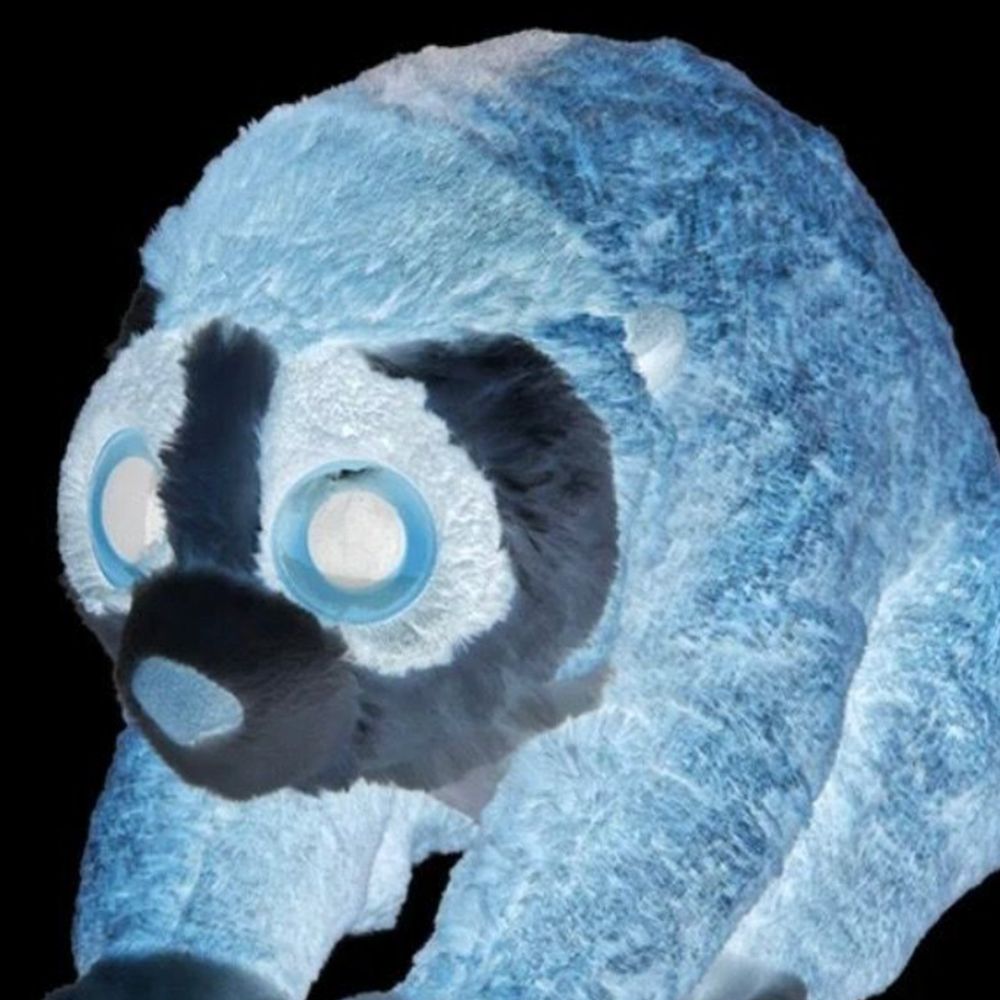 ‎EvilJonathan’s profile • Letterboxd