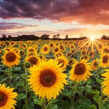 ‎ashlyn_m_shaw’s profile • Letterboxd