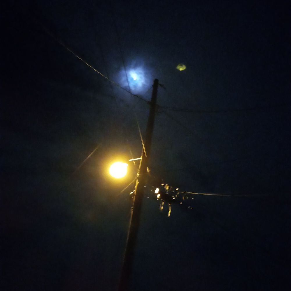 ‎J_Mae’s profile • Letterboxd