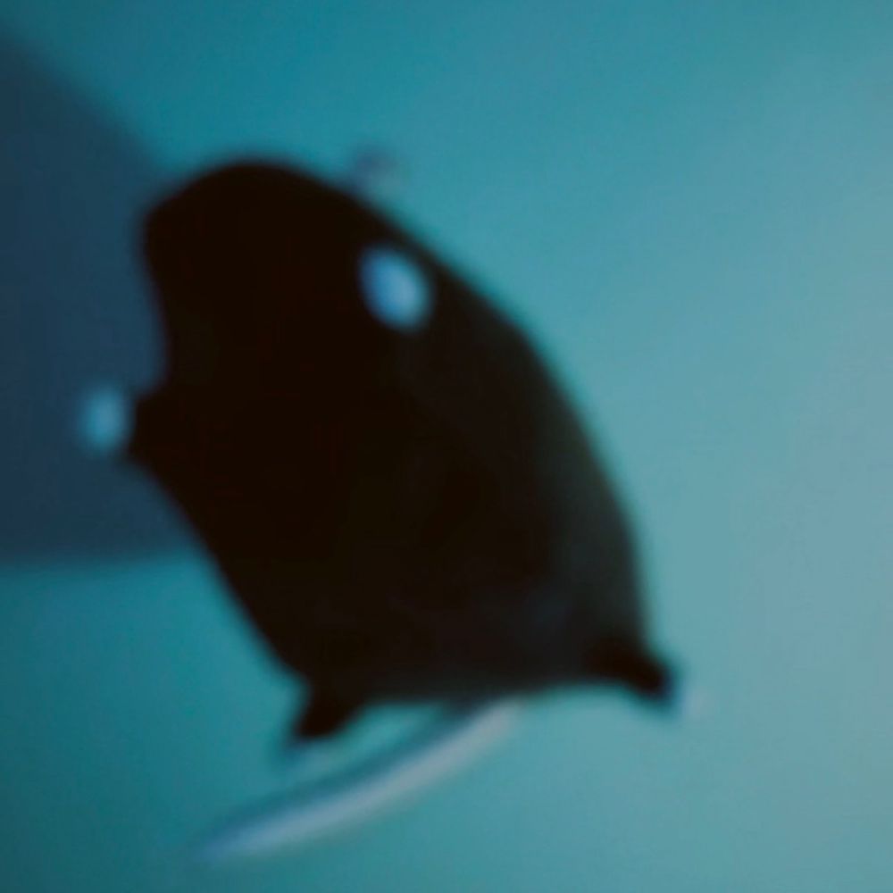 ‎Hannah Le’s profile • Letterboxd