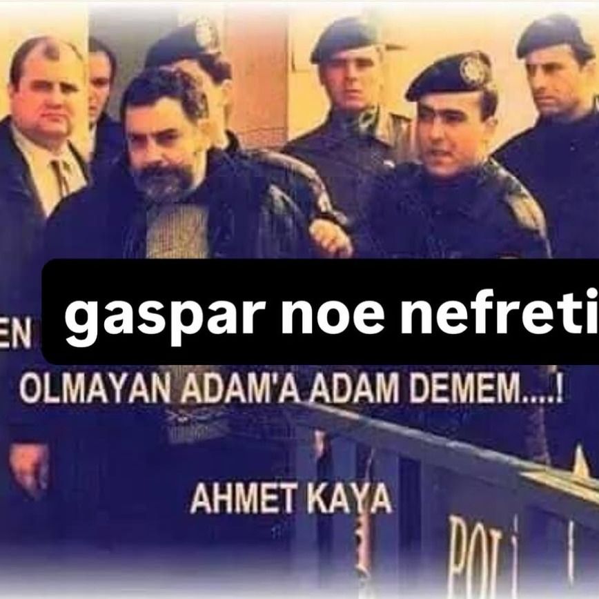 ‎Gaspar Noe Sevmiyorum’s profile • Letterboxd