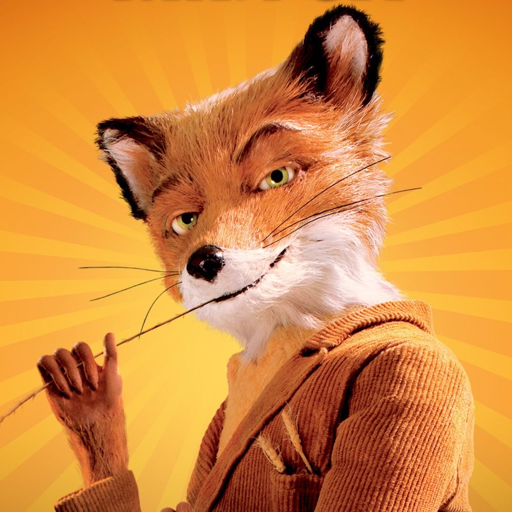 ‎Sam Radford’s profile • Letterboxd