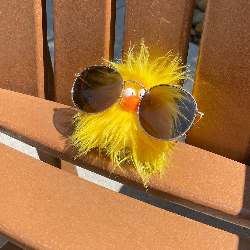 ‎lady macknight’s profile • Letterboxd