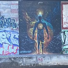 ‎tom_rodriguez’s profile • Letterboxd