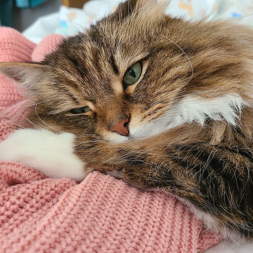 ‎Clarice’s profile • Letterboxd