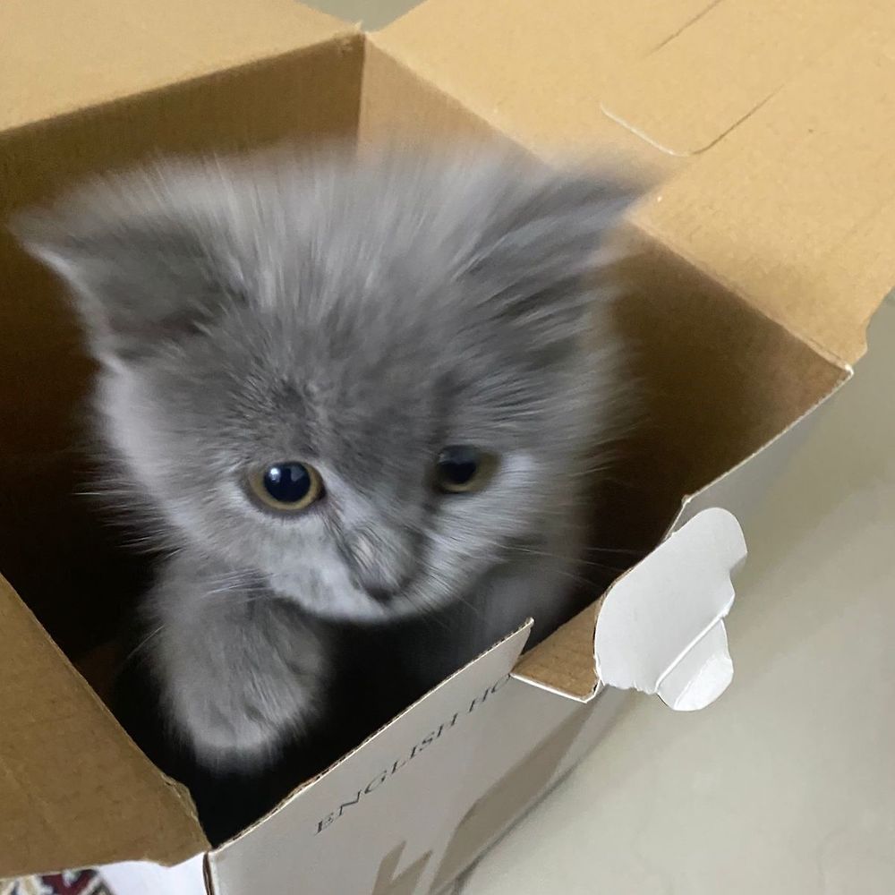 ‎malkawii’s profile • Letterboxd