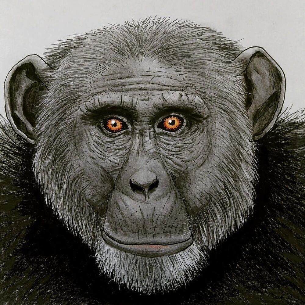 ‎Jan F’s profile • Letterboxd