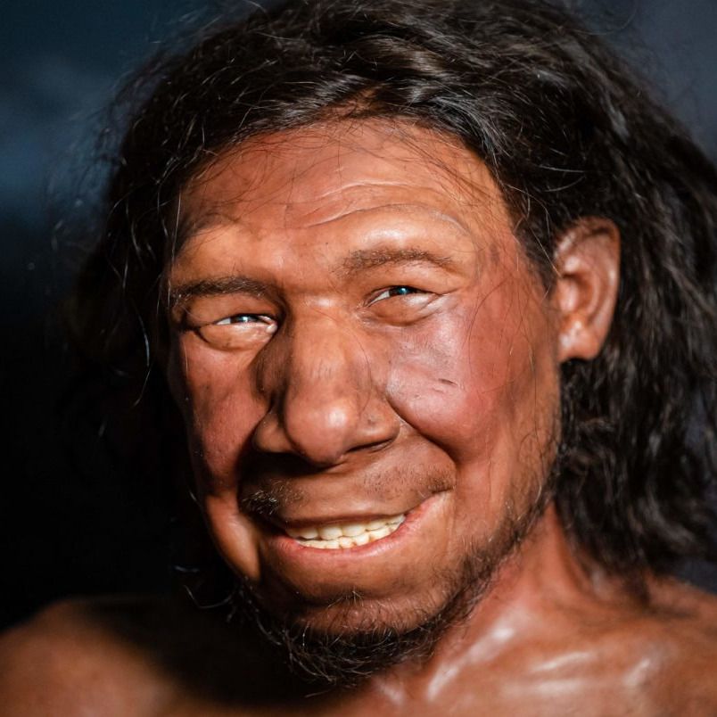 ‎Grug’s profile • Letterboxd