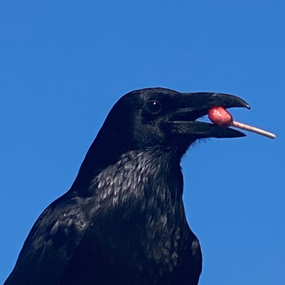 ‎micel’s profile • Letterboxd