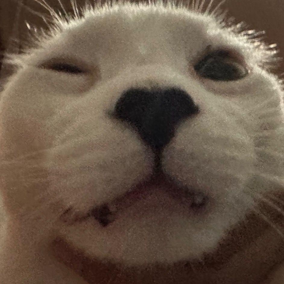 ‎Sean Sharp’s profile • Letterboxd