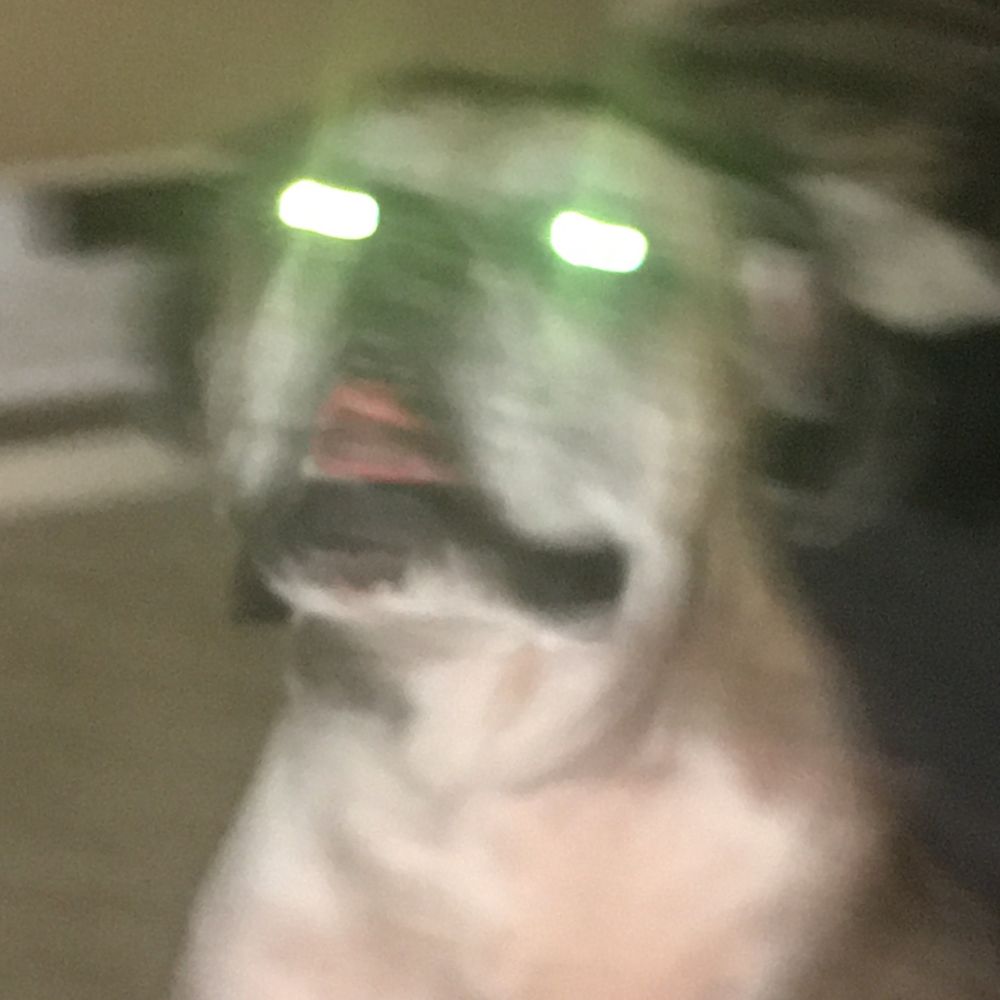 ‎Kentner’s profile • Letterboxd