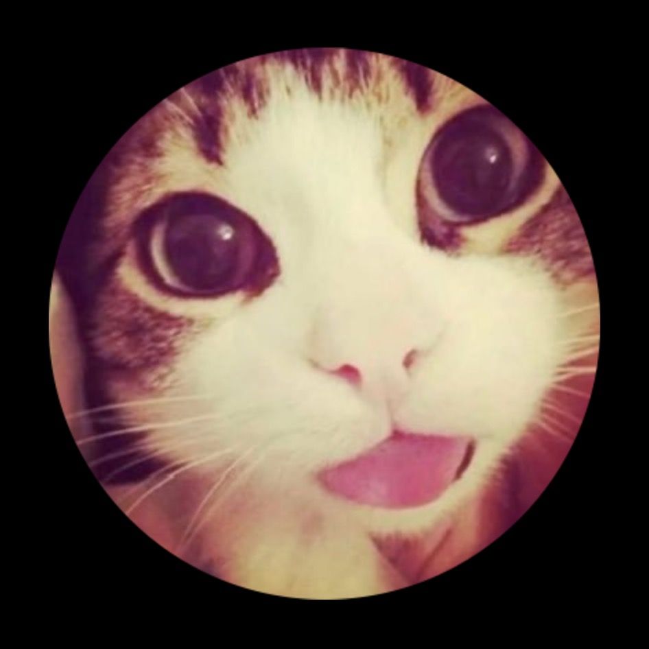 ‎flow’s profile • Letterboxd