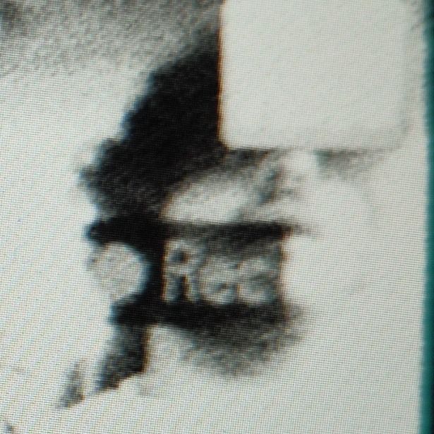 ‎Iliya’s profile • Letterboxd