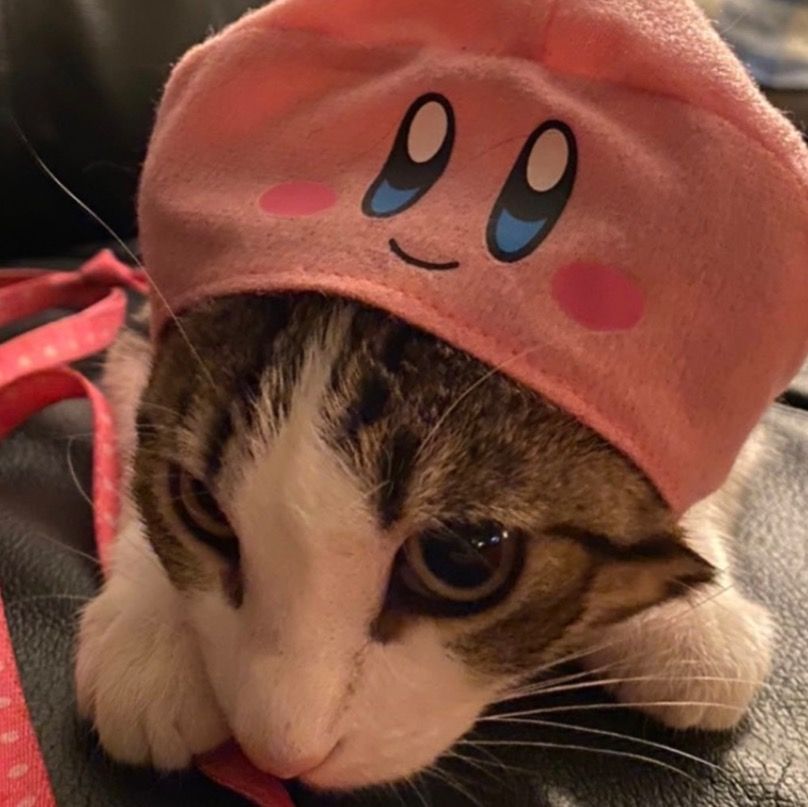 ‎nubbiest’s profile • Letterboxd