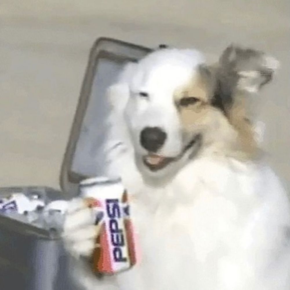 ‎Harry Sachs’s profile • Letterboxd