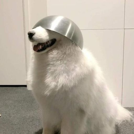 yari-s-profile-letterboxd
