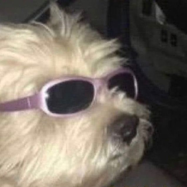 ‎Nada Fayed’s profile • Letterboxd