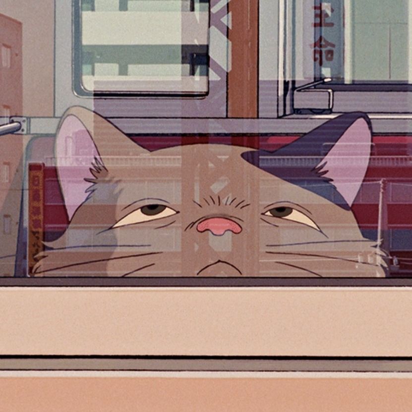 ‎rachel’s profile • Letterboxd