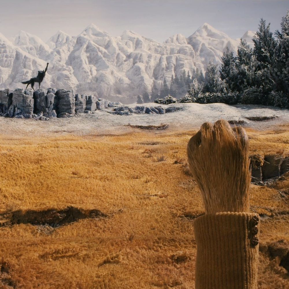 ‎Matthew Kelso’s profile • Letterboxd