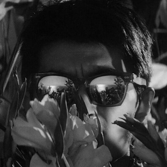 ‎Owen Finlay’s profile • Letterboxd