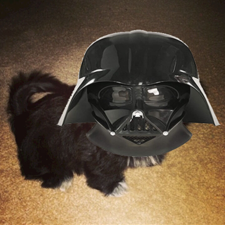 ‎Richard Ceballos’s profile • Letterboxd