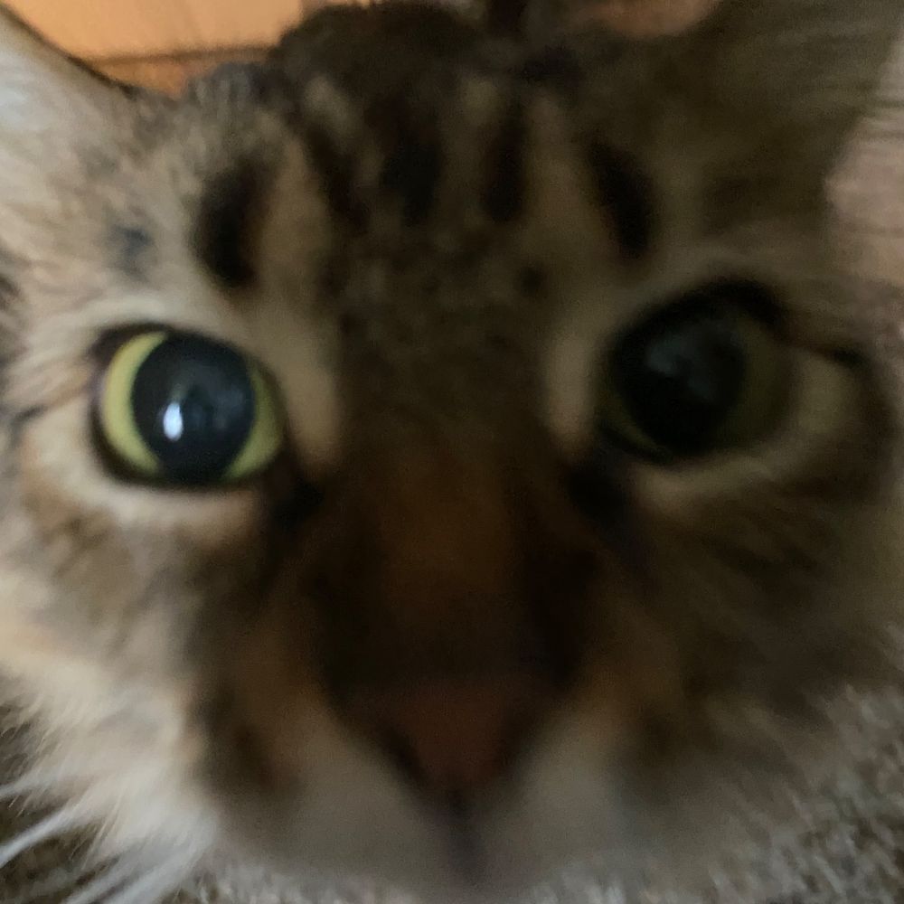 ‎Greg heff’s profile • Letterboxd