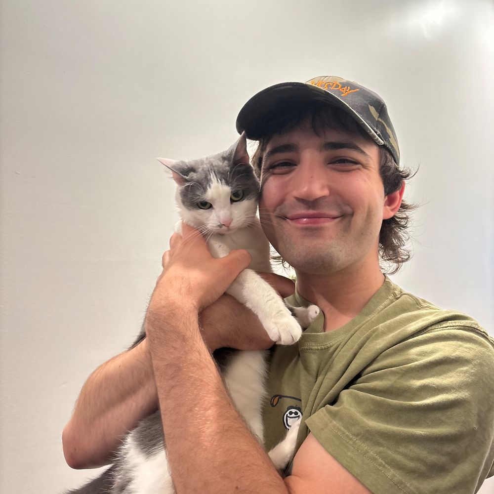 ‎noah neal’s profile • Letterboxd