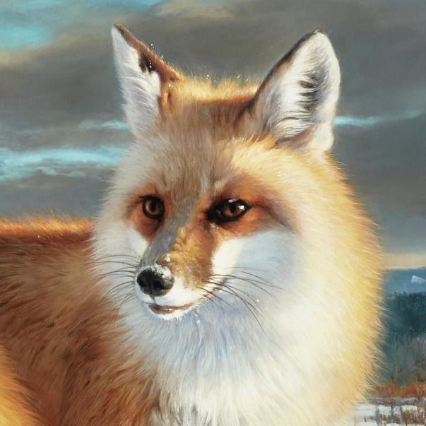 ‎efox_’s profile • Letterboxd