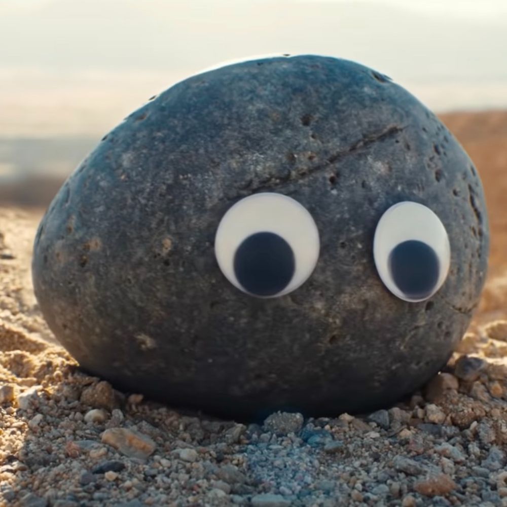 ‎Tasheena’s profile • Letterboxd