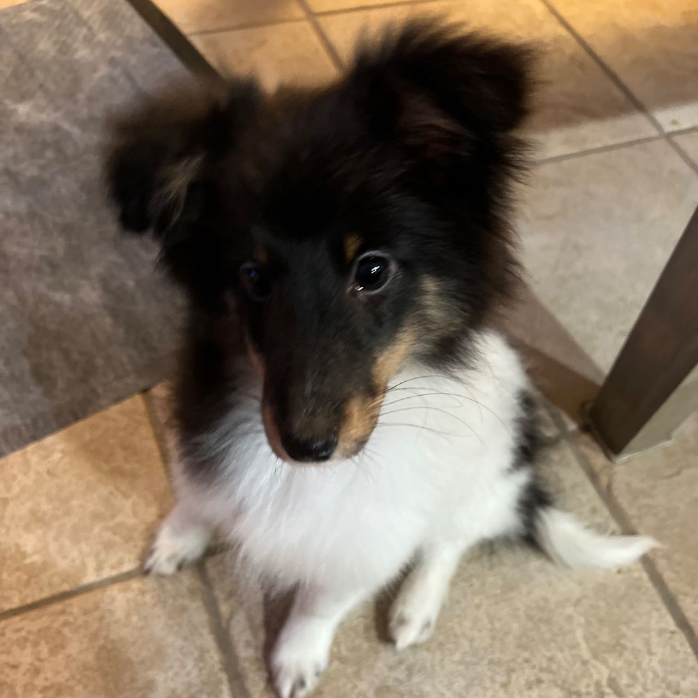 ‎shiona’s profile • Letterboxd