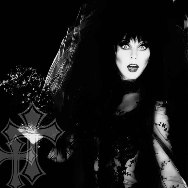 ‎⋆༺𓆩︎︎berra𓆪༻⋆’s profile • Letterboxd