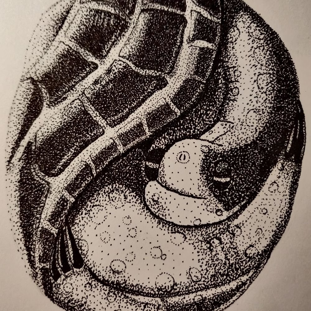 ‎tim_jp’s profile • Letterboxd