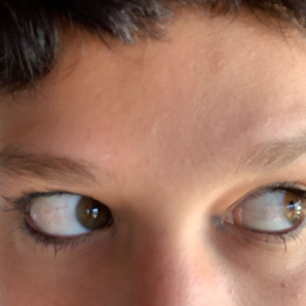 ‎Jimomo’s profile • Letterboxd