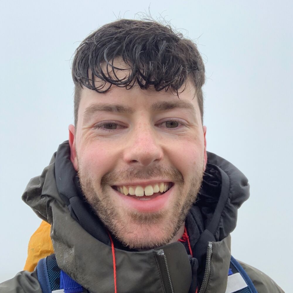 ‎Mitchell Collins’s profile • Letterboxd