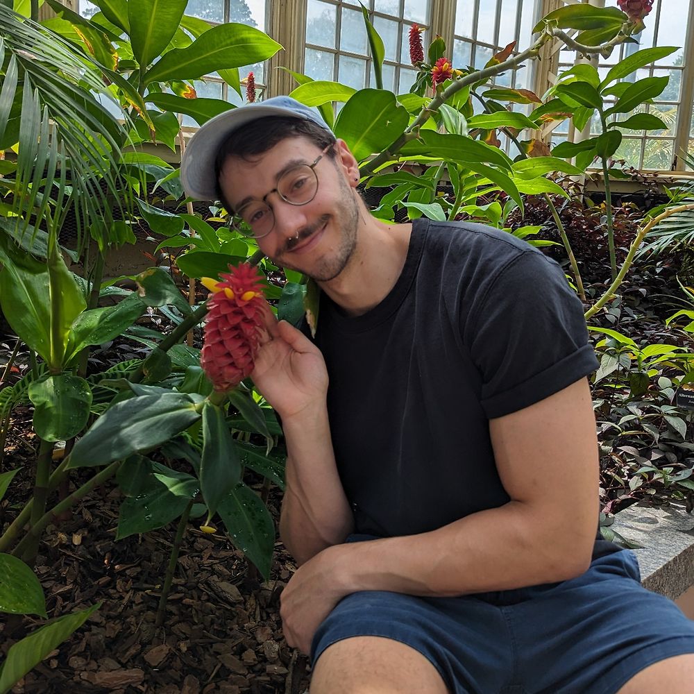 ‎Adam Amrani’s profile • Letterboxd