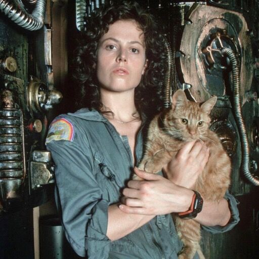 ‎Xime’s profile • Letterboxd