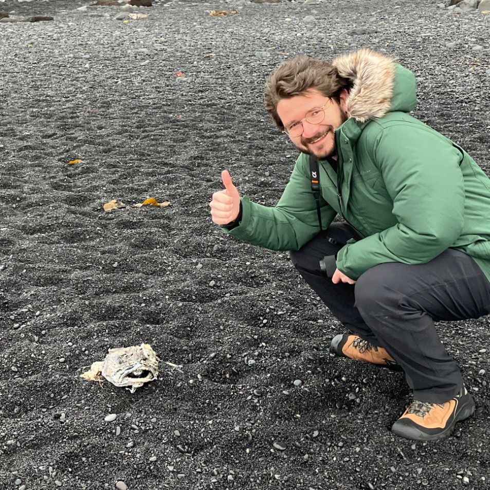 ‎Jermy’s profile • Letterboxd