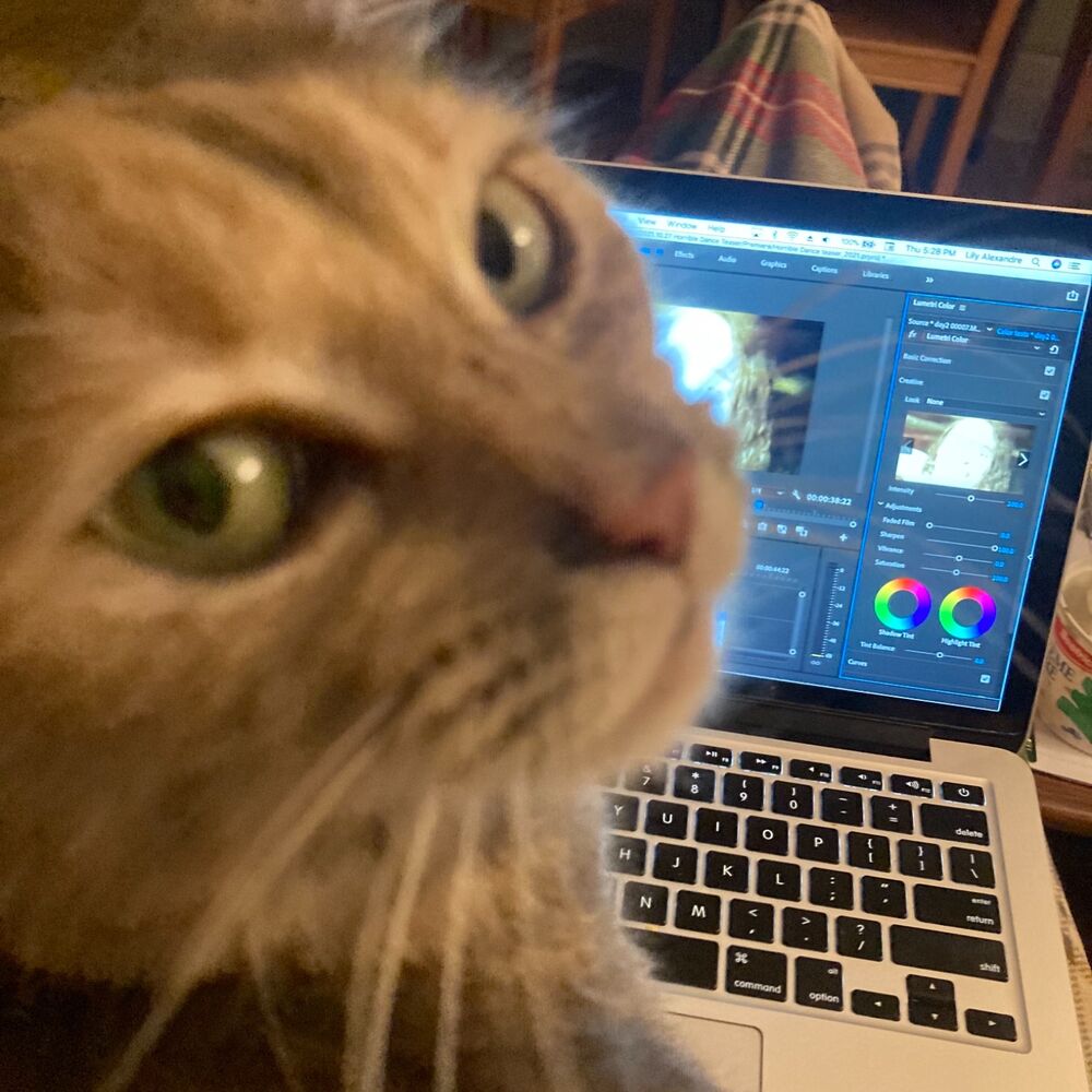 ‎Lily Alexandre’s profile • Letterboxd